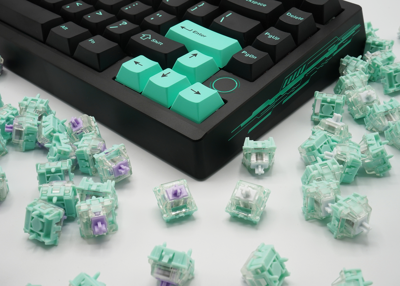 Gateron Magnetic Jade vs Wuque WS Dash HE Gaming Magnetic Switches ...